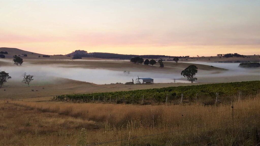 Exciting new Sparklings from Slow Wine Co. – The Lane Cellars